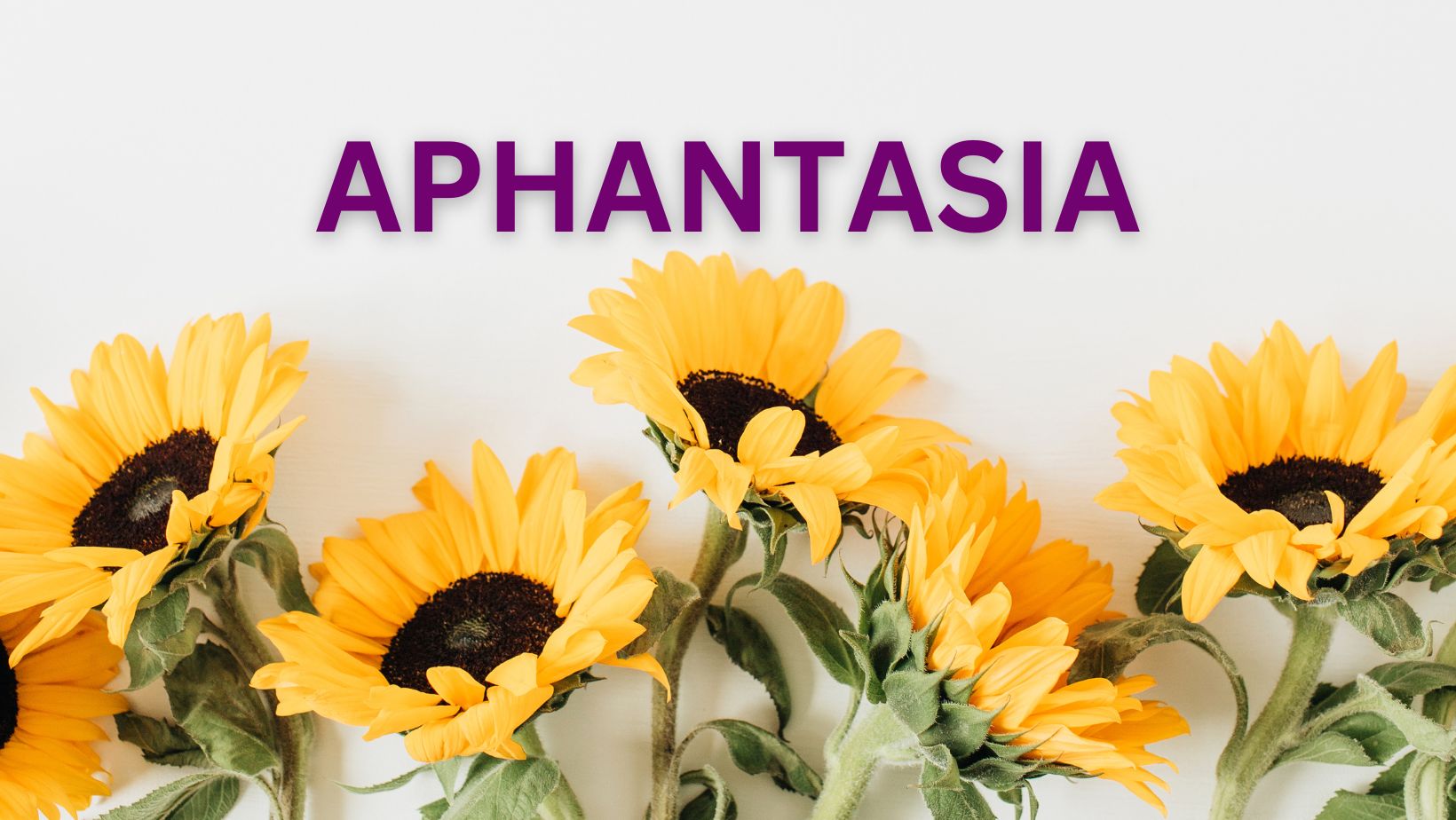 Aphantasia - What The Heck IT Is and How Does It Impact Me